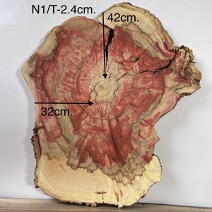 2pcs Rare Maple Slices, Dry Tree Cut for Woodworking Free Delivery - Etsy