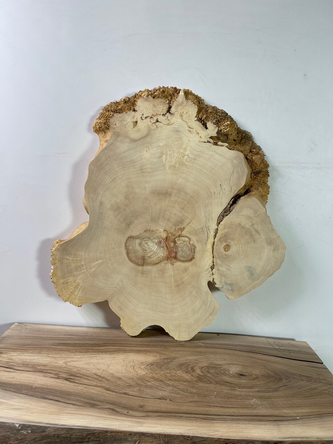 Burl Maple Slice for Coffee Table 19.3x15.7x2in" - Dry Slab for ...