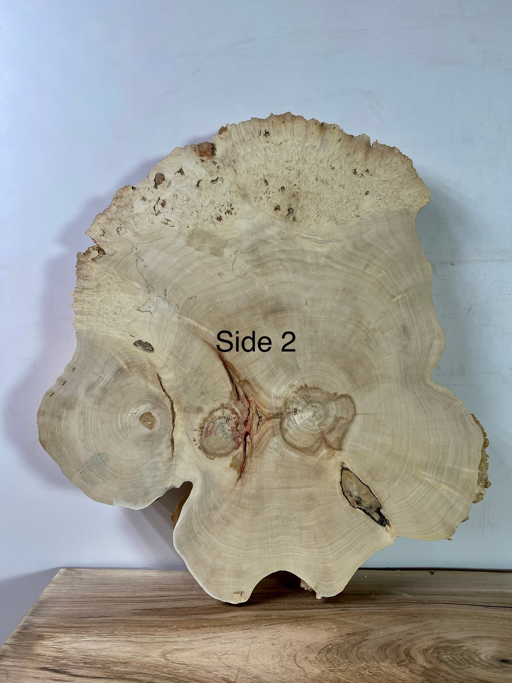 Burl Maple Slice for Coffee Table 19.3x15.7x2in" - Dry Slab for ...