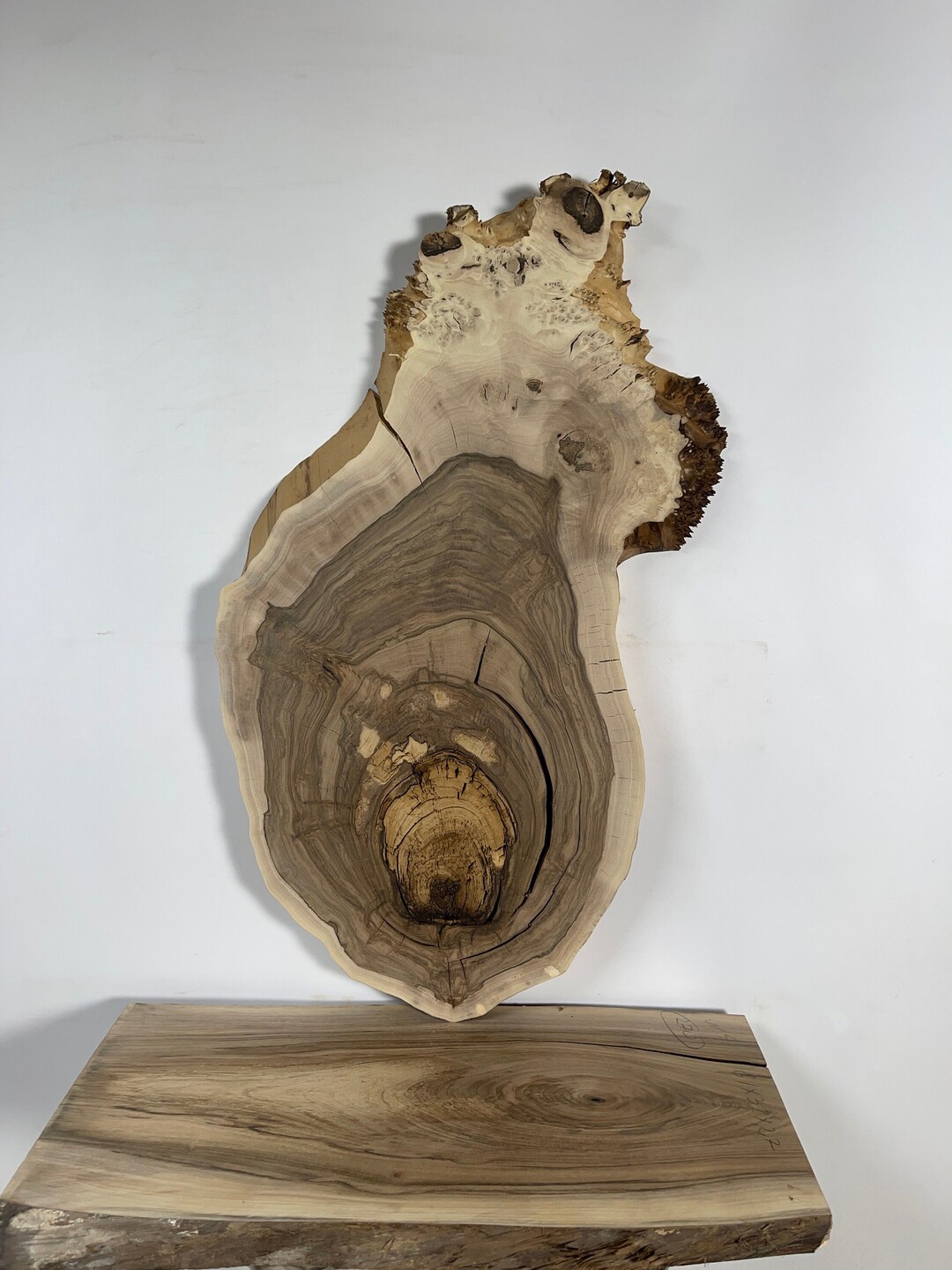 Burl Walnut Live Edge Cut 31x15x1.96in Dry Slice for Woodworking - Etsy