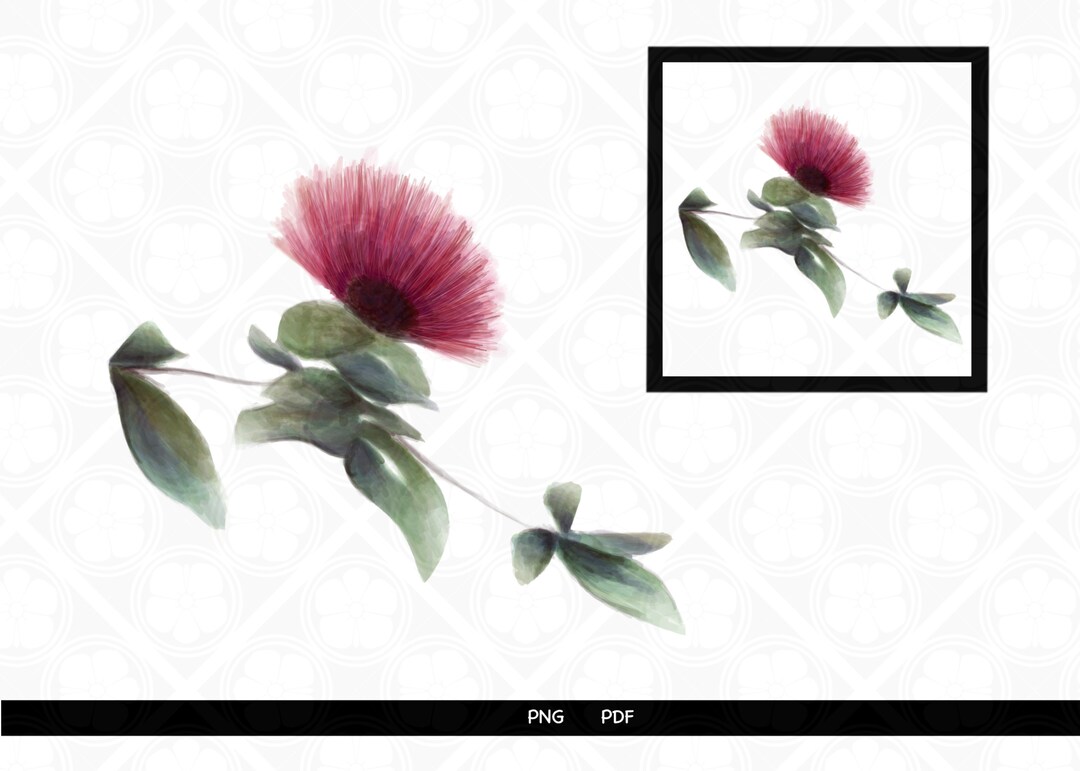 Ohia Lehua Flower Digital Print Watercolor Style PNG PDF Hawaiian ...