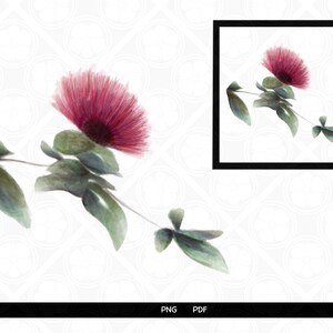 Ohia Lehua Flower Digital Print Watercolor Style PNG PDF Hawaiian ...