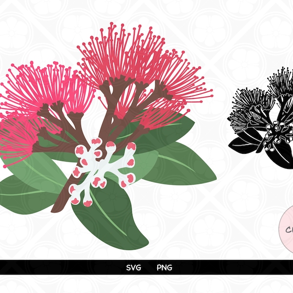 Lehua Flower Clipart - Etsy