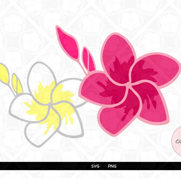Frangipani Svg - Etsy