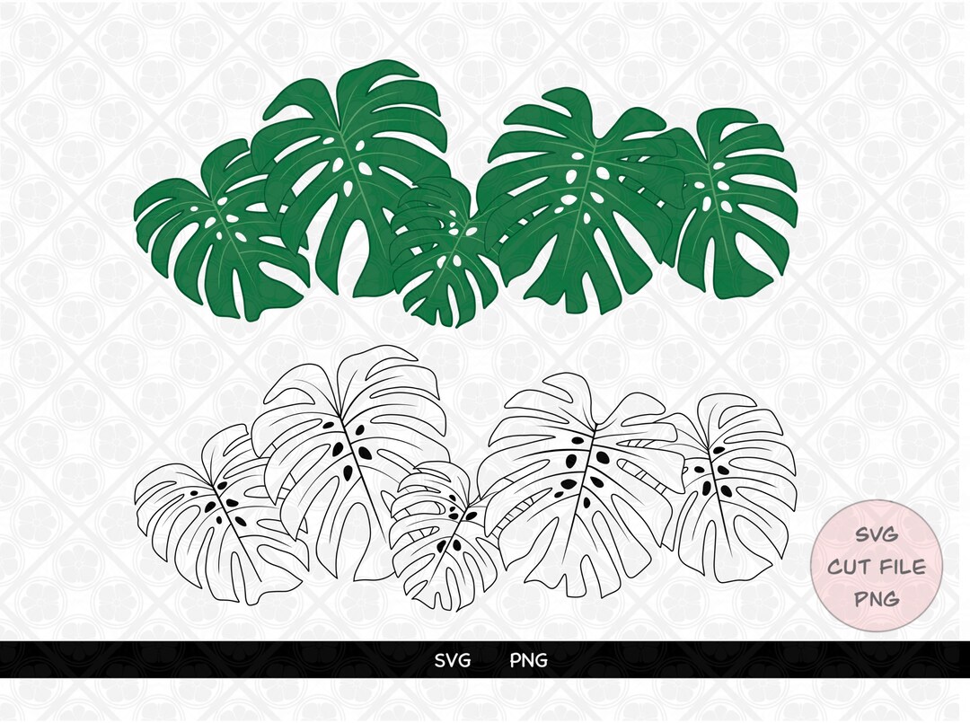 Monstera Leaves Row SVG Cut File PNG Clipart, Instant Digital Download ...