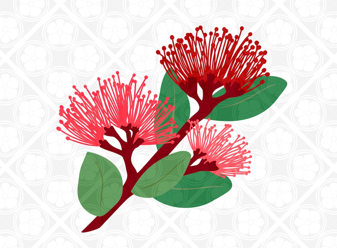 Trio Ohia Lehua Blossoms on Branch SVG Cut File PNG Digital - Etsy