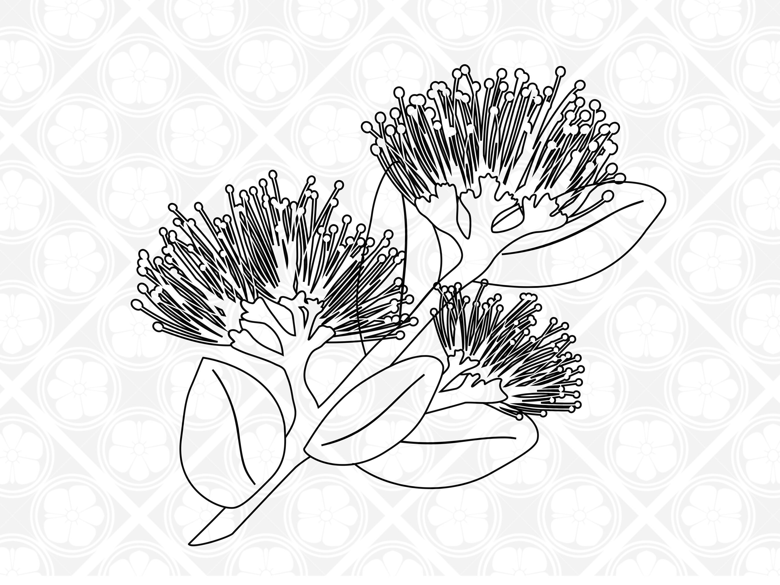 Ohia Lehua Blossoms on Branch SVG Cut File PNG Digital - Etsy