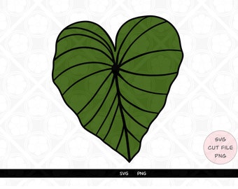 Taro Leaf Outline Svg - Etsy