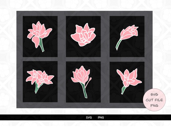 Tuberose SVG Cut File PNG Clipart Digital Download Hawaii - Etsy