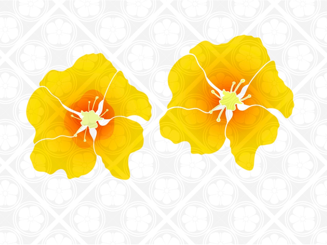 Ilima Flower SVG Cut File PNG Clipart Instant Digital - Etsy España