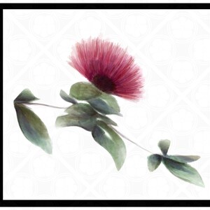 Ohia Lehua Flower Digital Print Watercolor Style PNG PDF Hawaiian ...