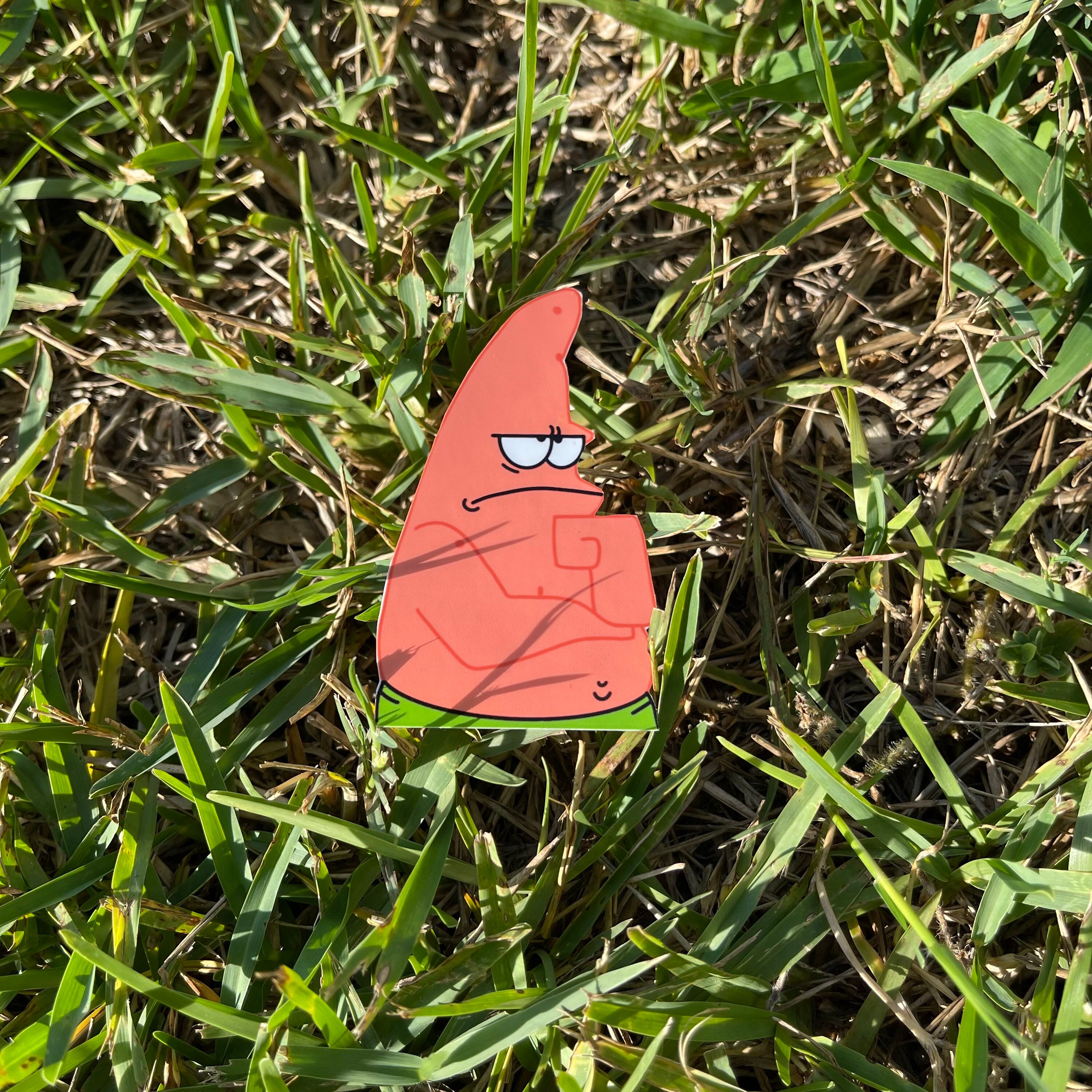 Patrick Star Thinking