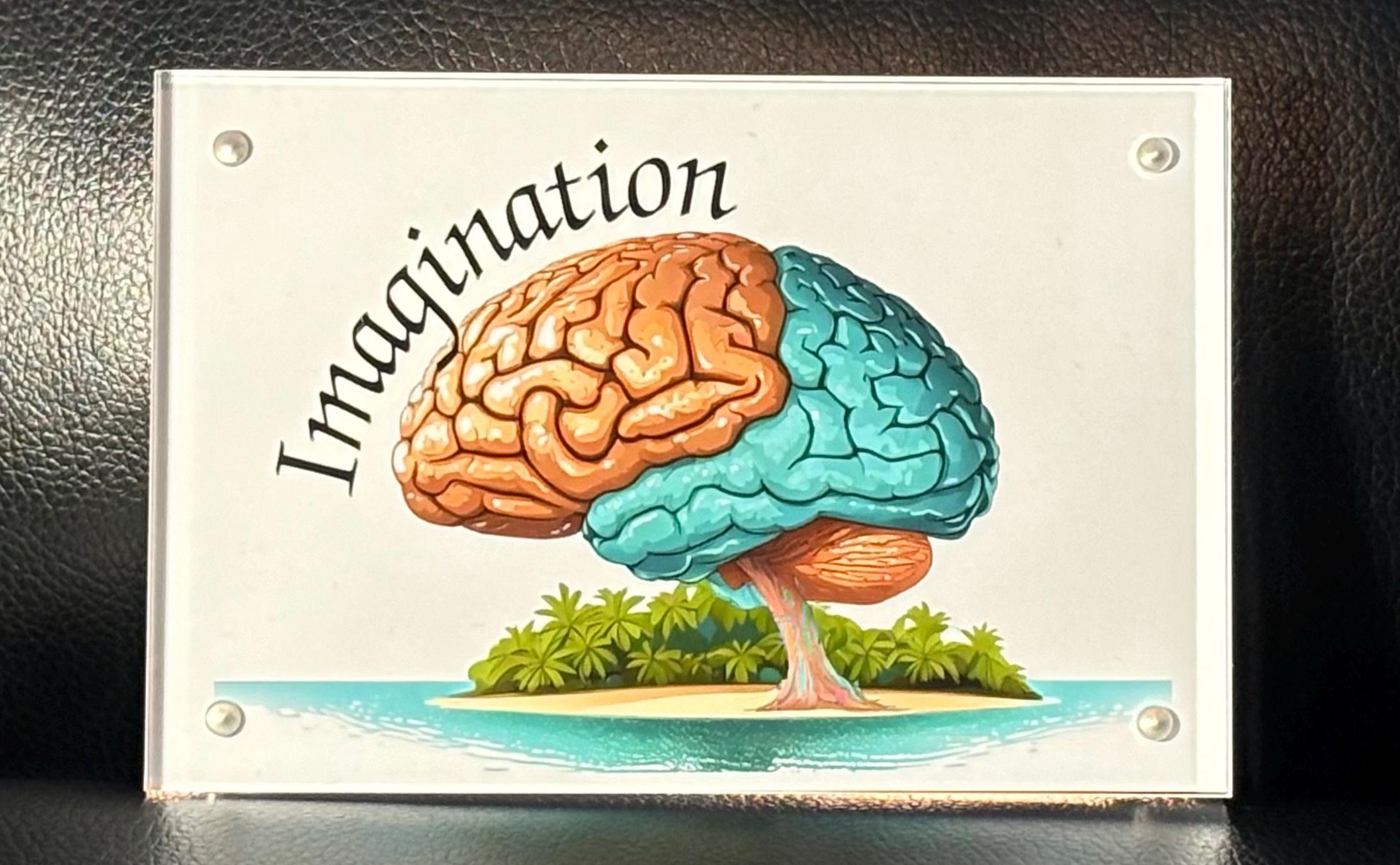 Human Brain Anatomy Art Photo 4 X 6 Acrylic Magnetic Framed Imagination ...