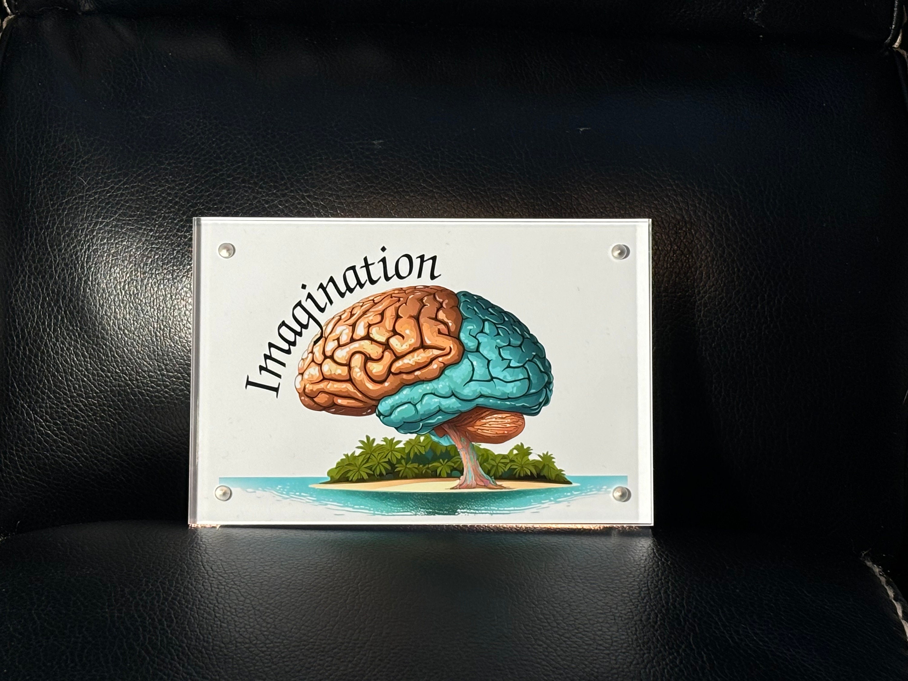 Human Brain Anatomy Art Photo 4 X 6 Acrylic Magnetic Framed Imagination ...