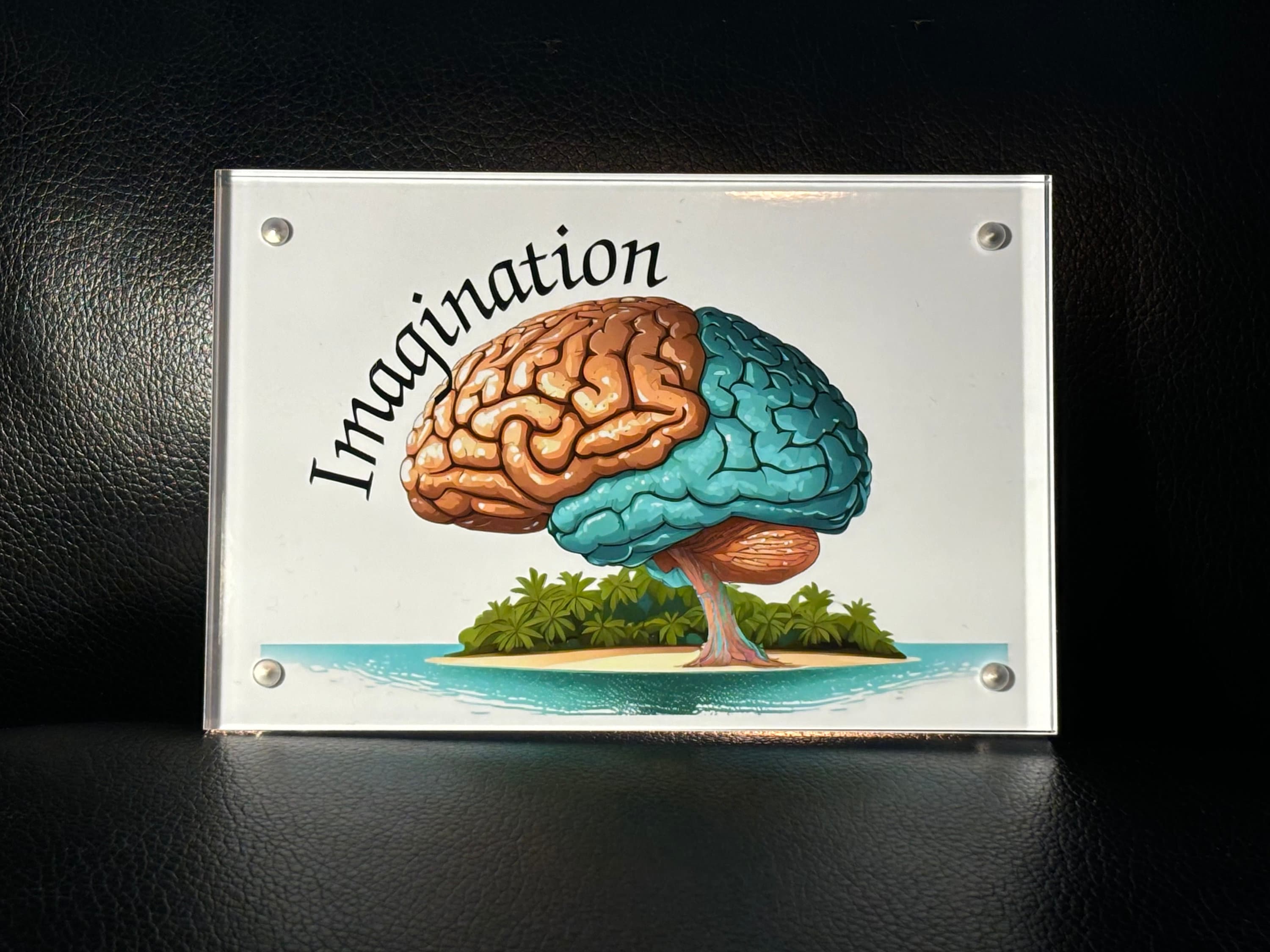 Human Brain Anatomy Art Photo 4 X 6 Acrylic Magnetic Framed Imagination ...