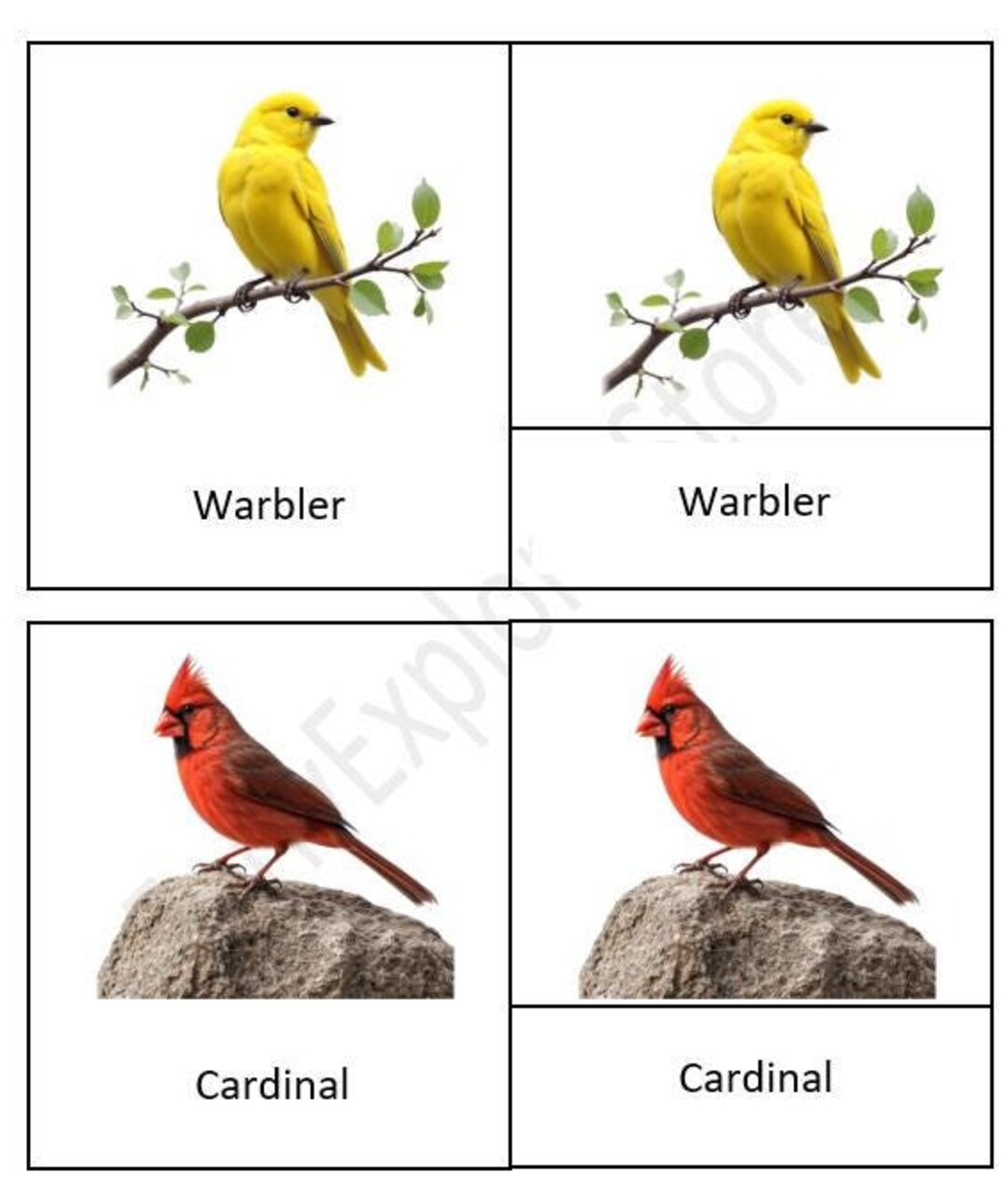 Birds 3-part Card Montessori – Safari Ltd TOOB Compatible | Printable ...