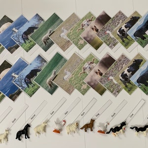 Farm Animal Montessori Inspired Activity 3 Part Cards, Figures ...