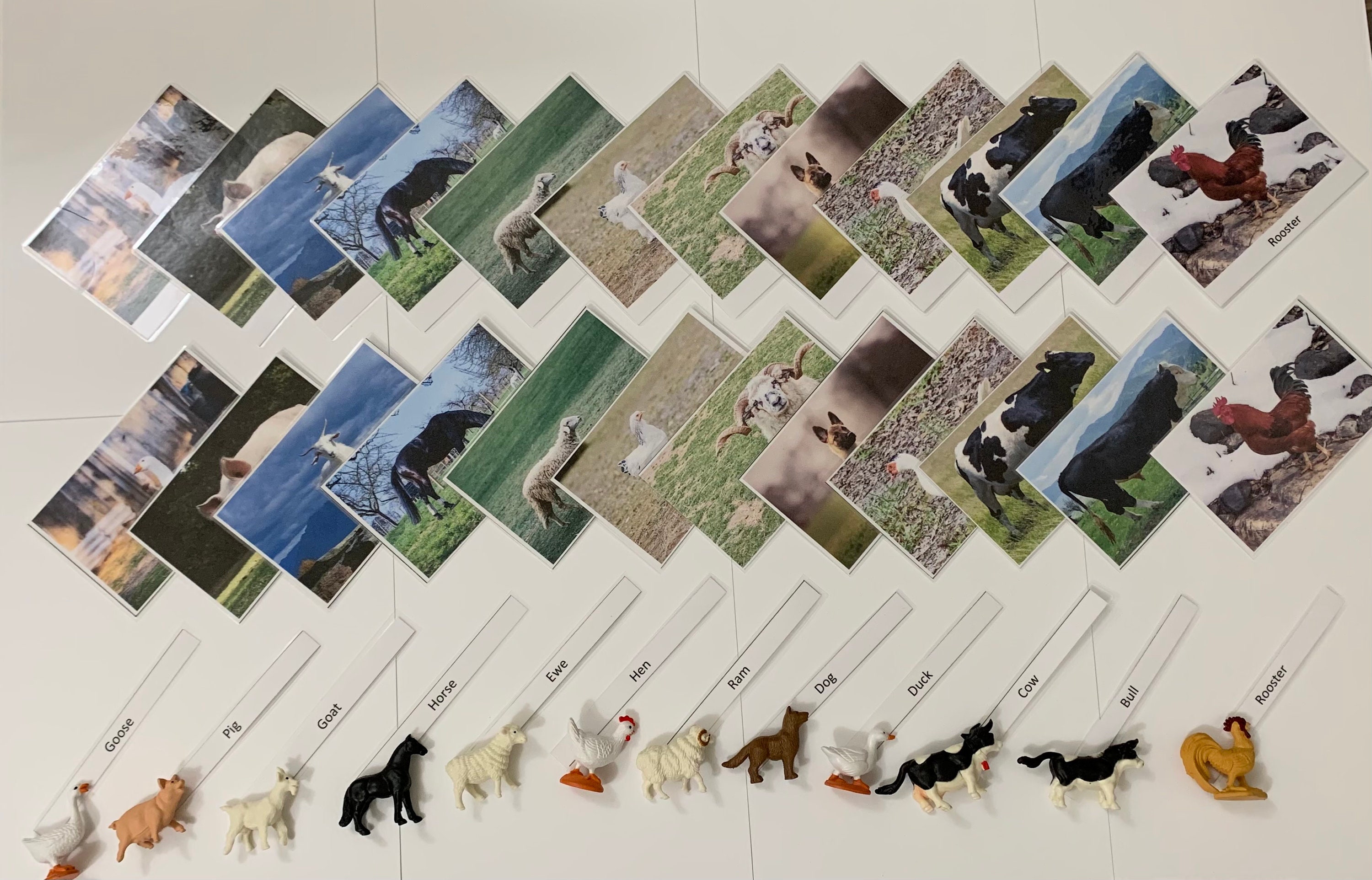 Farm Animal Montessori Inspired Activity 3 Part Cards - Etsy UK