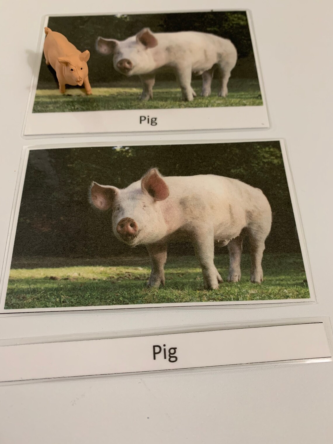 Farm Animal Montessori Inspired Activity 3 Part Cards Safari | Etsy