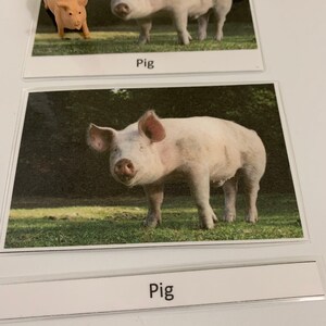 Farm Animal Montessori Inspired Activity 3 Part Cards, Figures ...