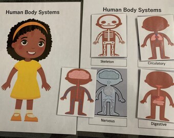 Human Anatomy Binder - Etsy