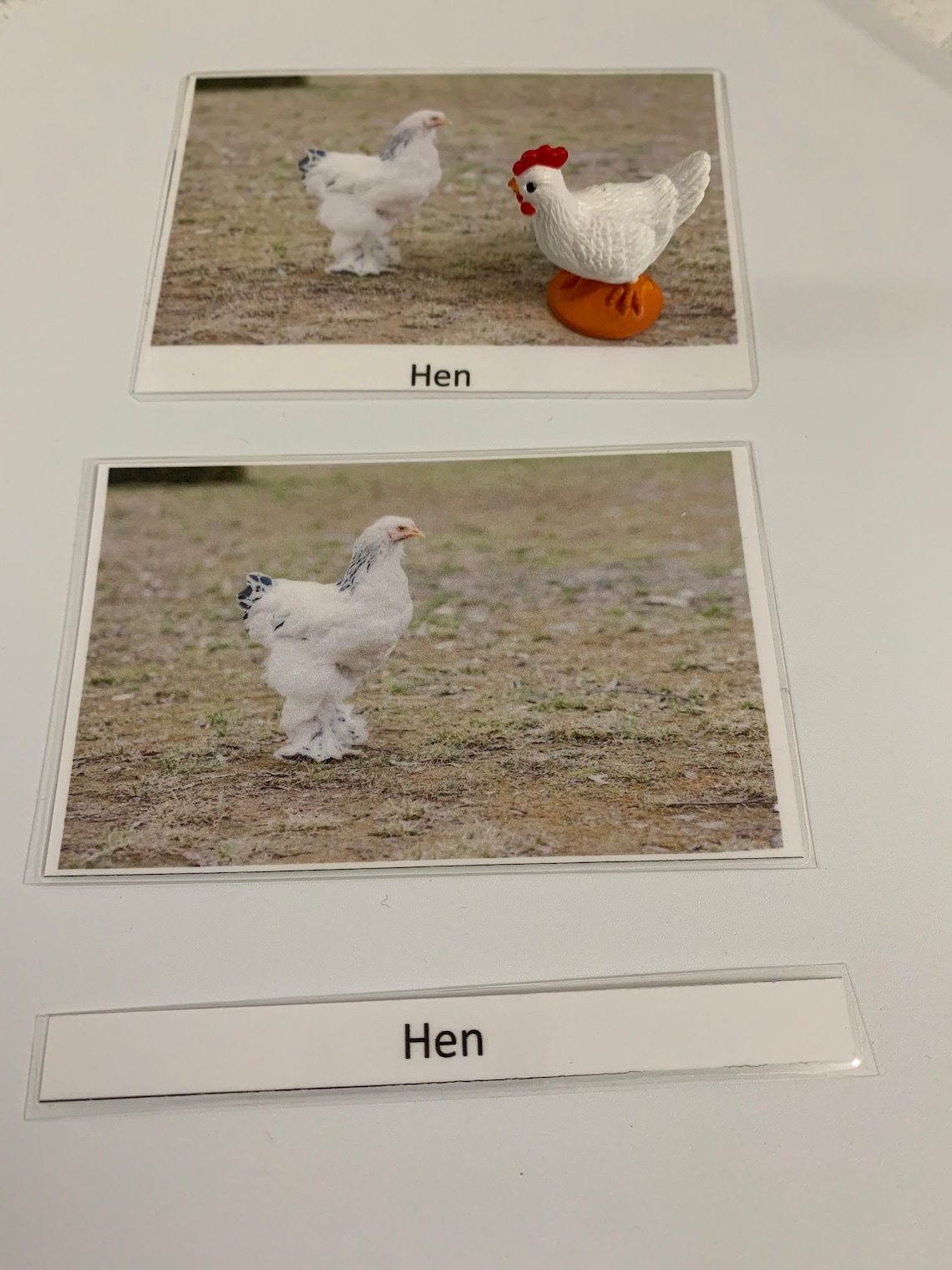 Farm Animal Montessori Inspired Activity 3 Part Cards Safari | Etsy