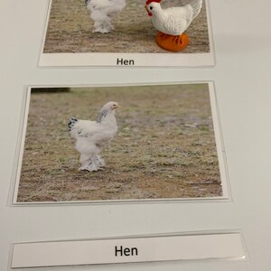 Farm Animal Montessori Inspired Activity 3 Part Cards, Figures ...