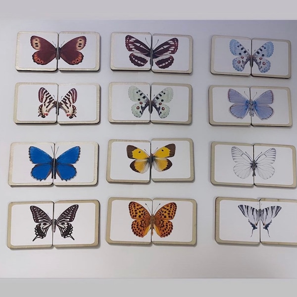 Butterfly Matching Game - Etsy