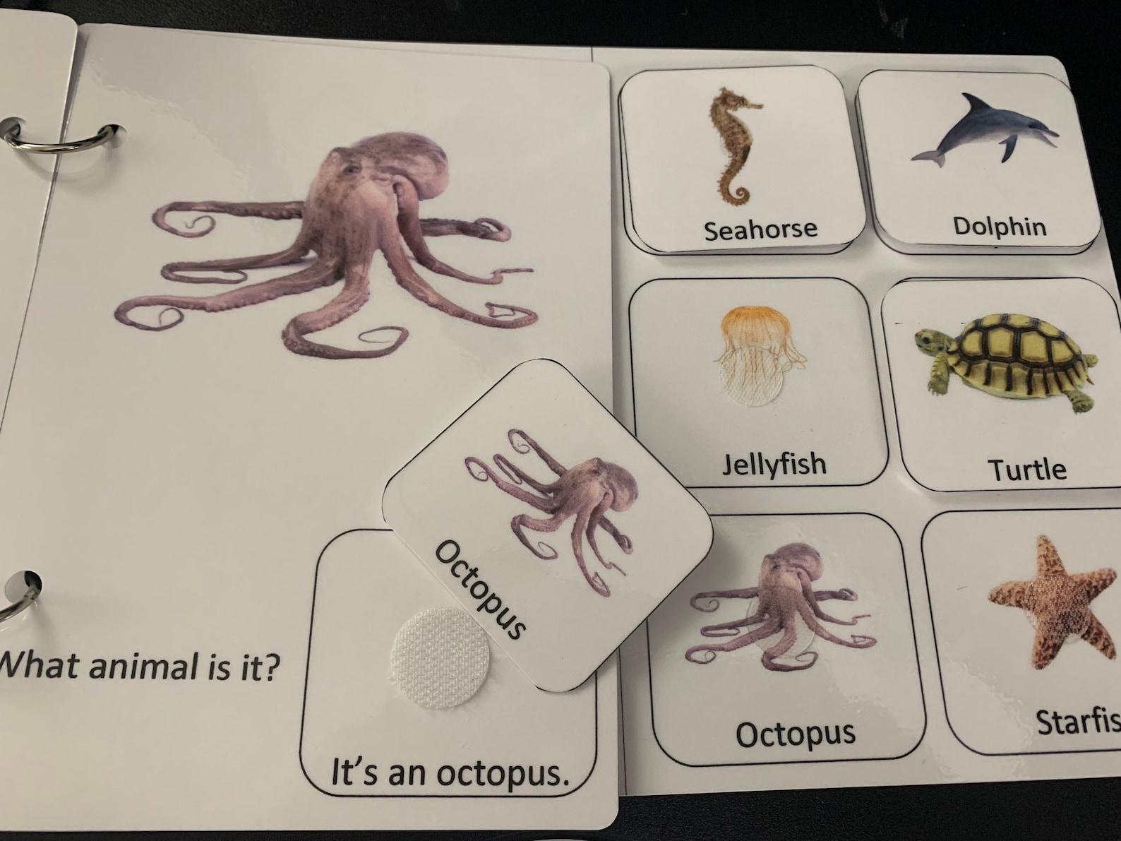 Real Images Busy Book/ Sea Ocean Animal Book for Kids/ Speech - Etsy