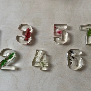 Resin Alphabets and Numbers Set/ Flower/ Spring/ Nature Theme/ Loose ...