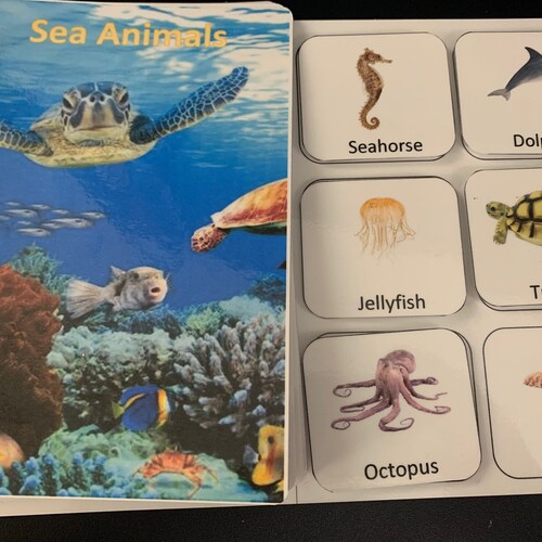 Animal Habitats Adapted Books for Special Education - Etsy
