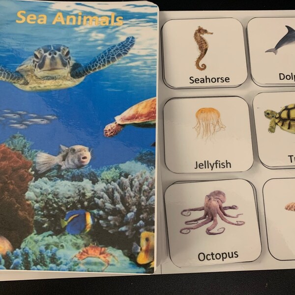 Busy Book - Etsy Canada