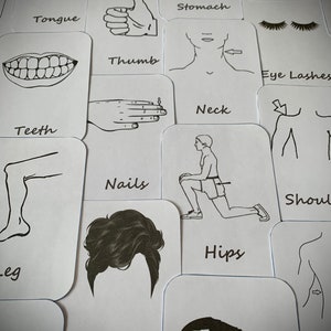 Human Body Parts, Face Parts, Flash Cards, Black and White, Montessori ...