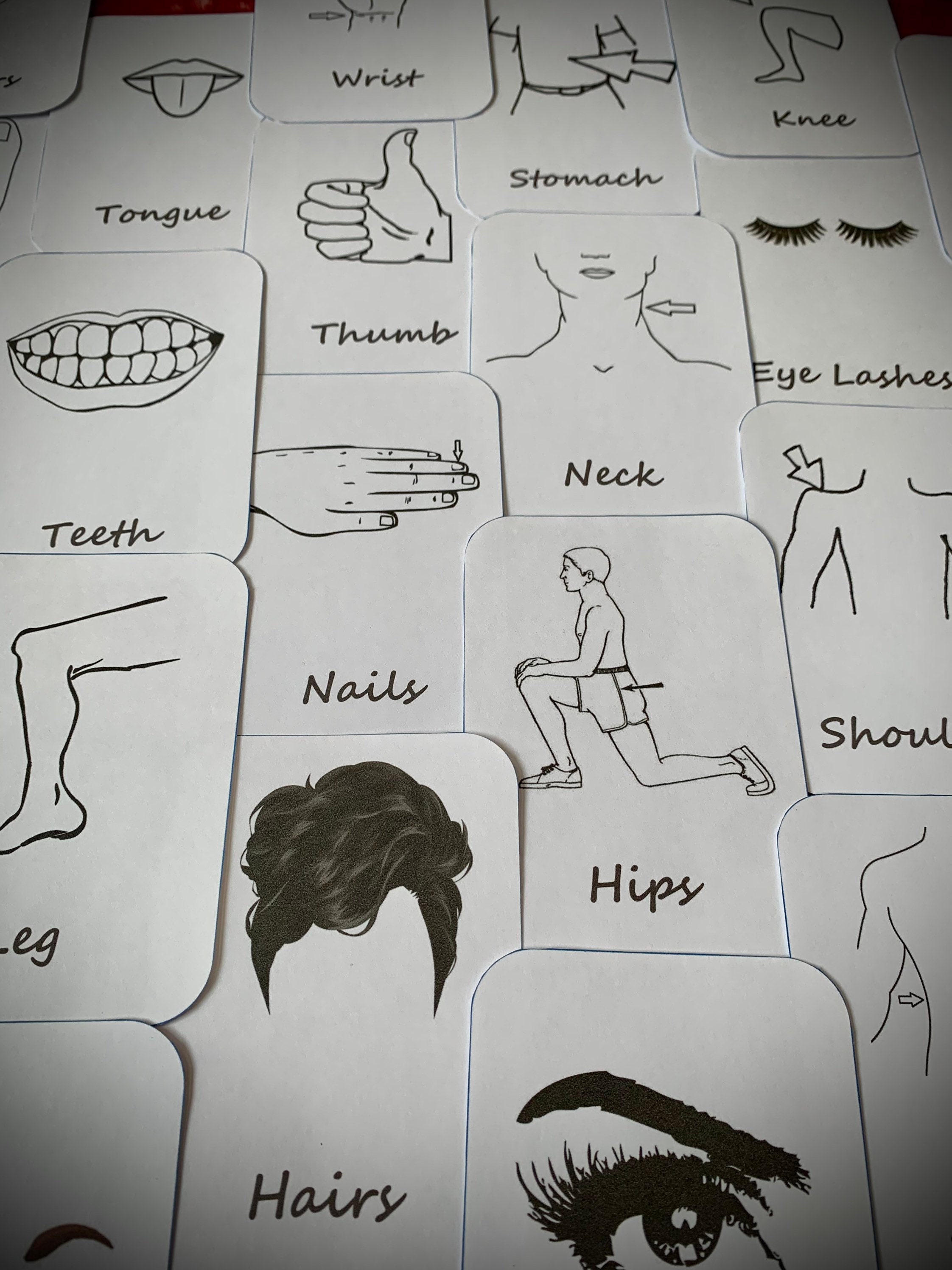 Human Body Parts Face Parts Flash Cards Black and White - Etsy