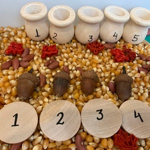Fall - Autumn Sensory Bin/ Montessori Activity/ Number Learning/ 5 ...