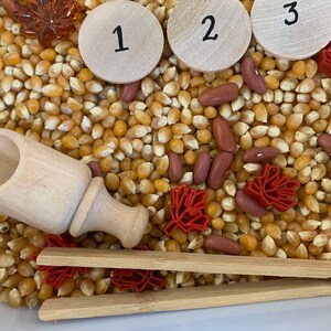 Fall - Autumn Sensory Bin/ Montessori Activity/ Number Learning/ 5 ...
