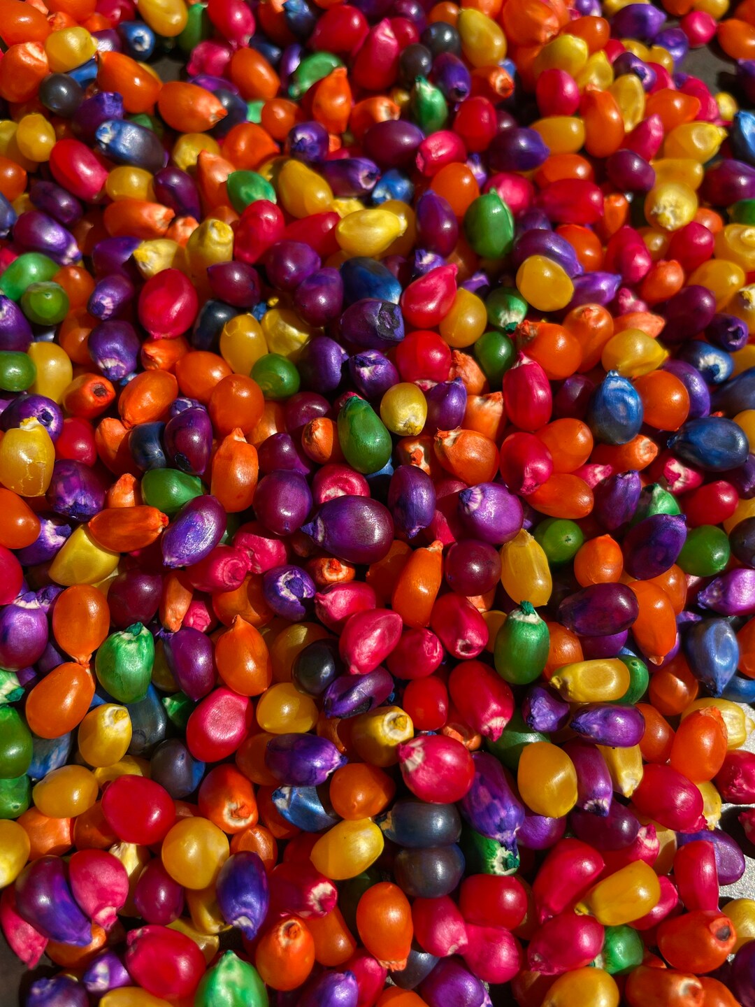 Rainbow Colored Corn Fillers/ Sensory Bin Fillers/ Kids Learning ...