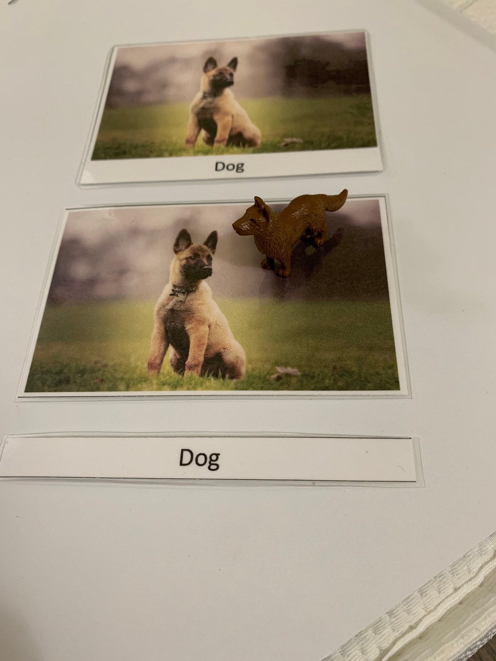 Farm Animal Montessori Inspired Activity 3 Part Cards Safari | Etsy