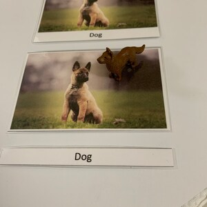 Farm Animal Montessori Inspired Activity 3 Part Cards, Figures ...