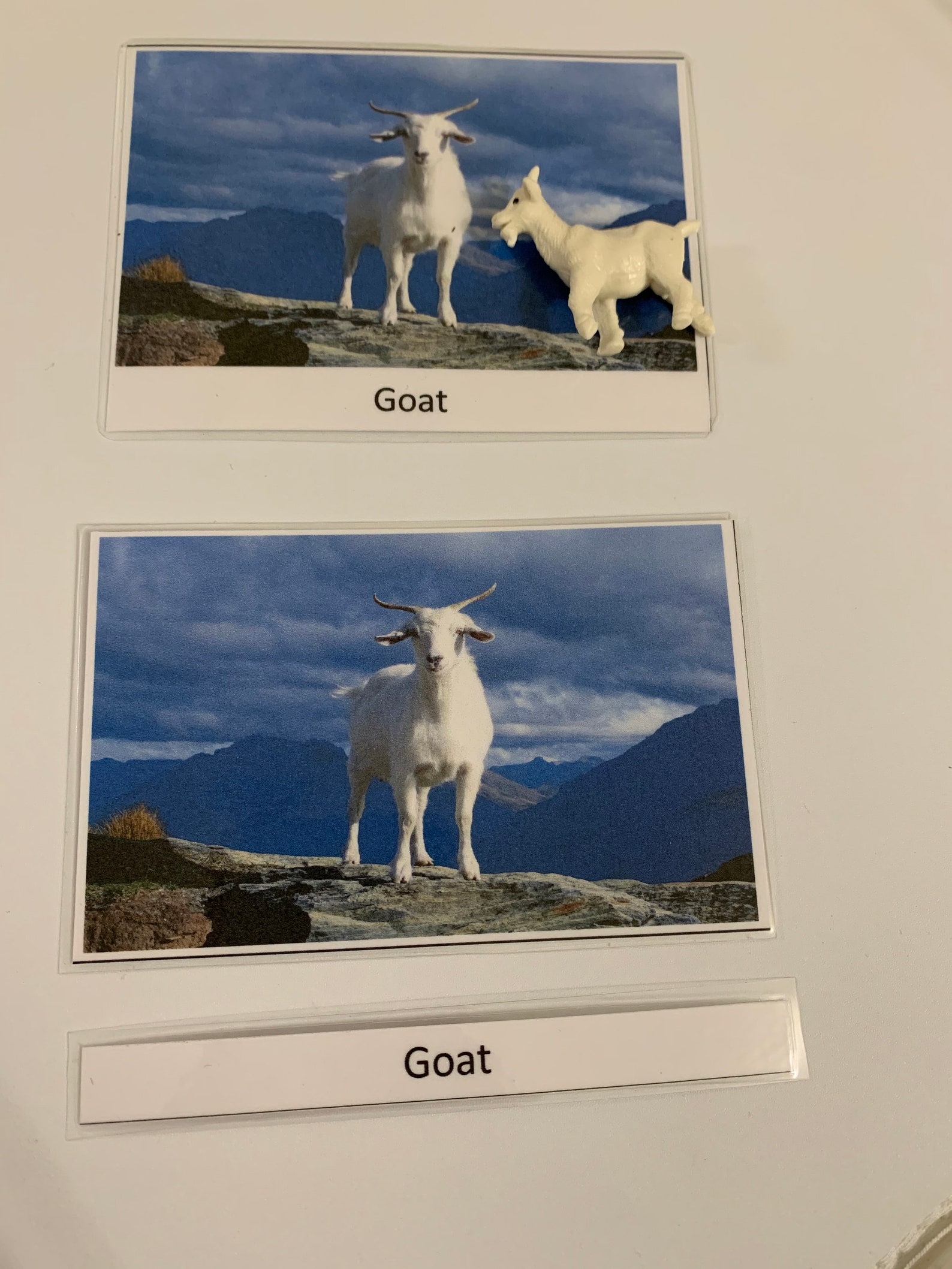 Farm Animal Montessori Inspired Activity 3 Part Cards - Etsy