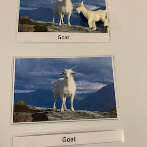 Farm Animal Montessori Inspired Activity 3 Part Cards, Figures ...