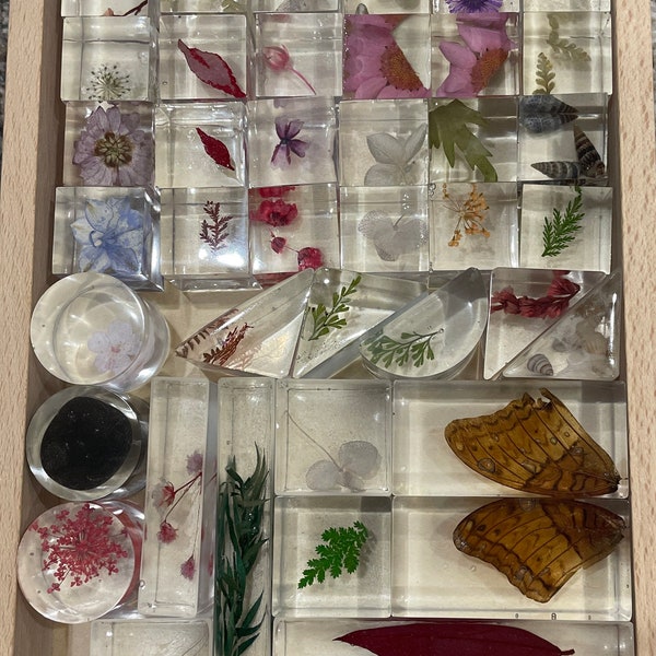 Reggio Toys - Etsy