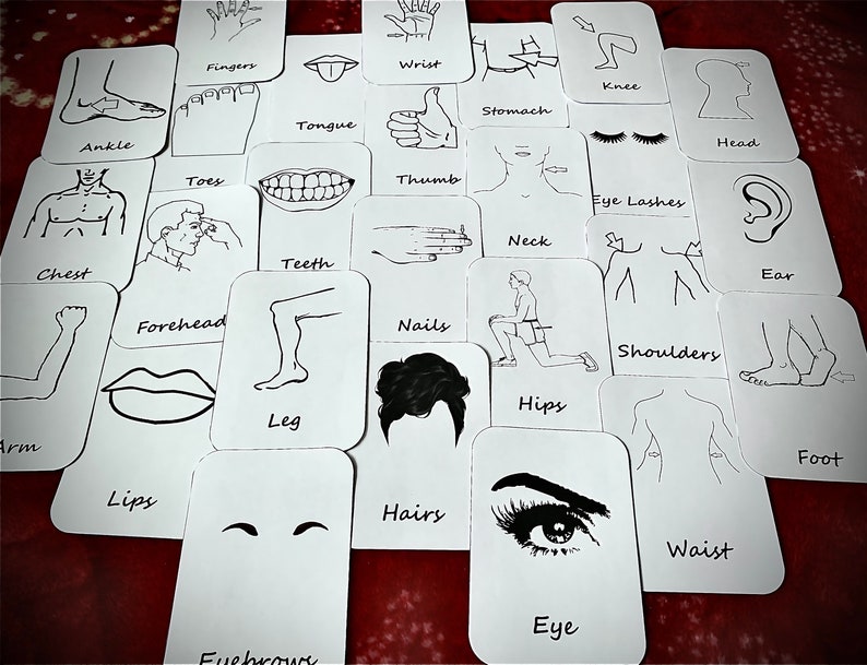 Human Body Parts, Face Parts, Flash Cards, Black and White, Montessori ...