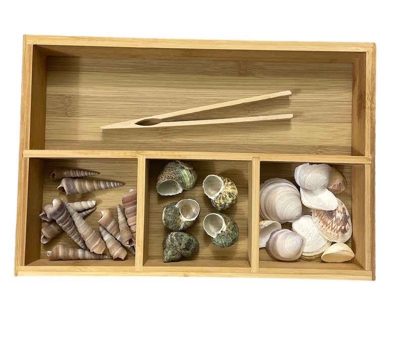 Montessori Sorting Activity / Loose Parts/ Preschoolers Activity/ Hands ...
