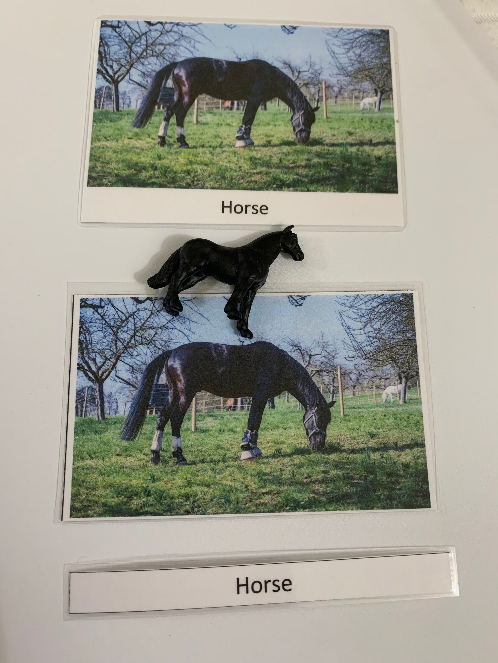 Farm Animal Montessori Inspired Activity 3 Part Cards - Etsy