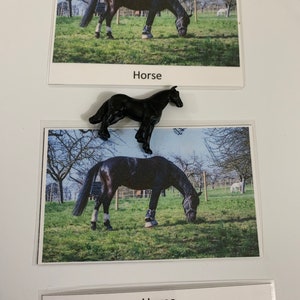 Farm Animal Montessori Inspired Activity 3 Part Cards, Figures ...