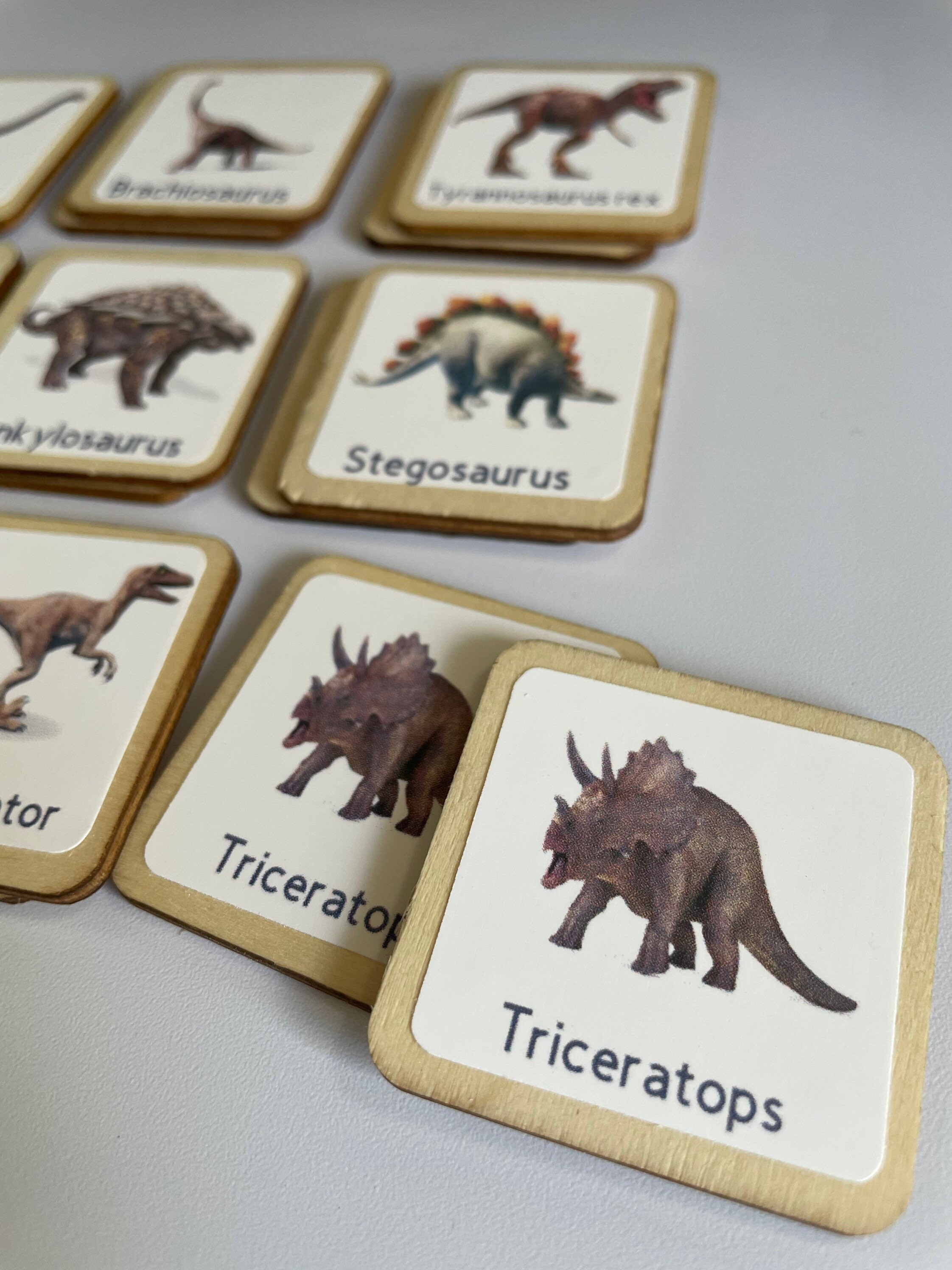 Dinosaur Wooden Memory Matching Game/ Montessori Educational Toy for ...