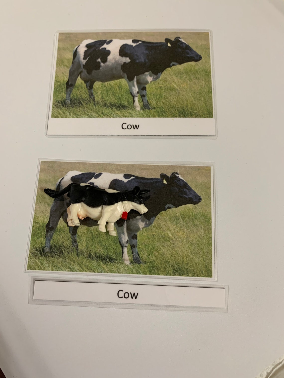 Farm Animal Montessori Inspired Activity 3 Part Cards Safari | Etsy