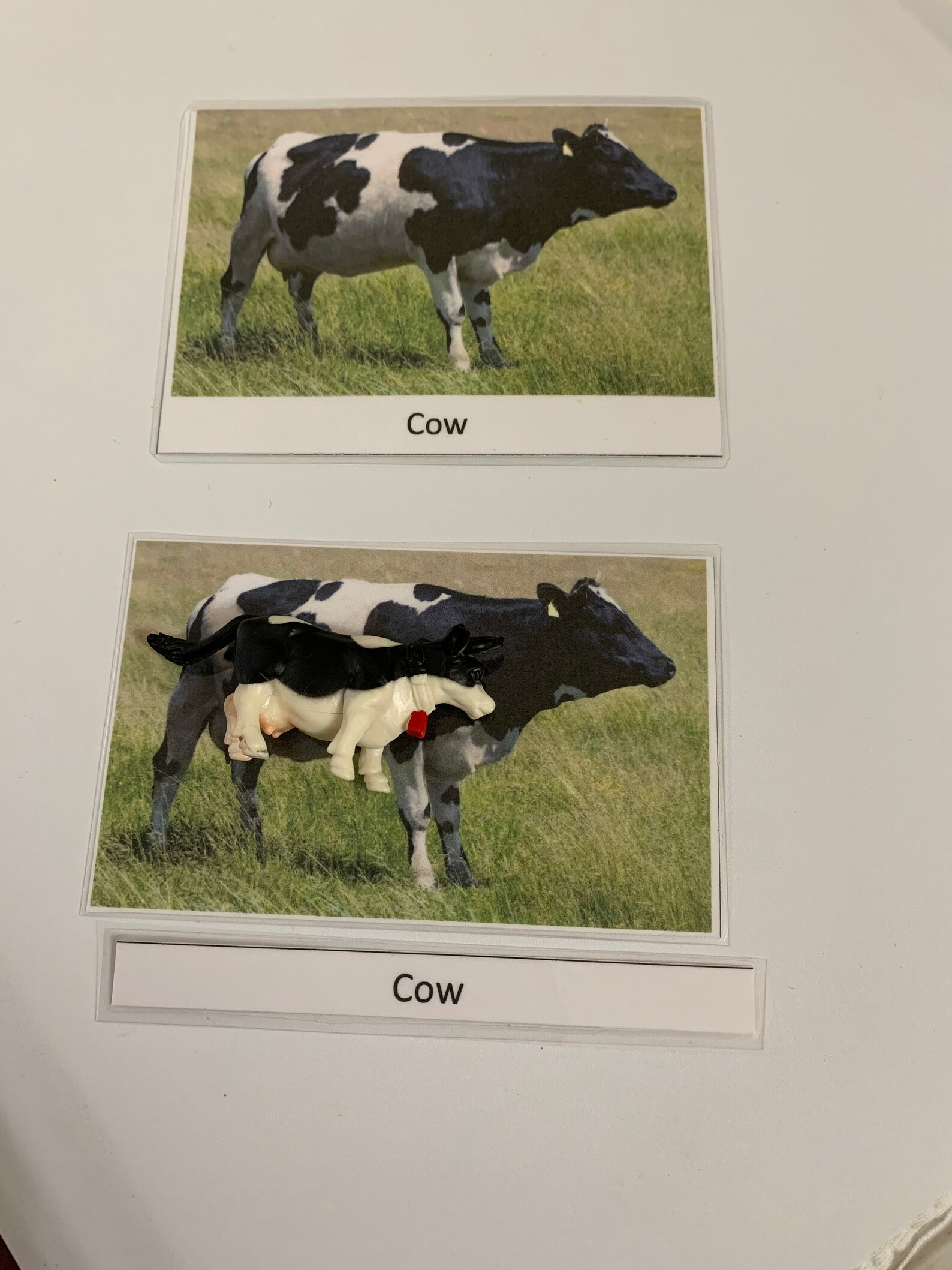 Farm Animal Montessori Inspired Activity 3 Part Cards Safari | Etsy