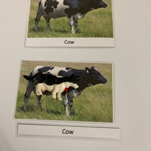 Farm Animal Montessori Inspired Activity 3 Part Cards, Figures ...